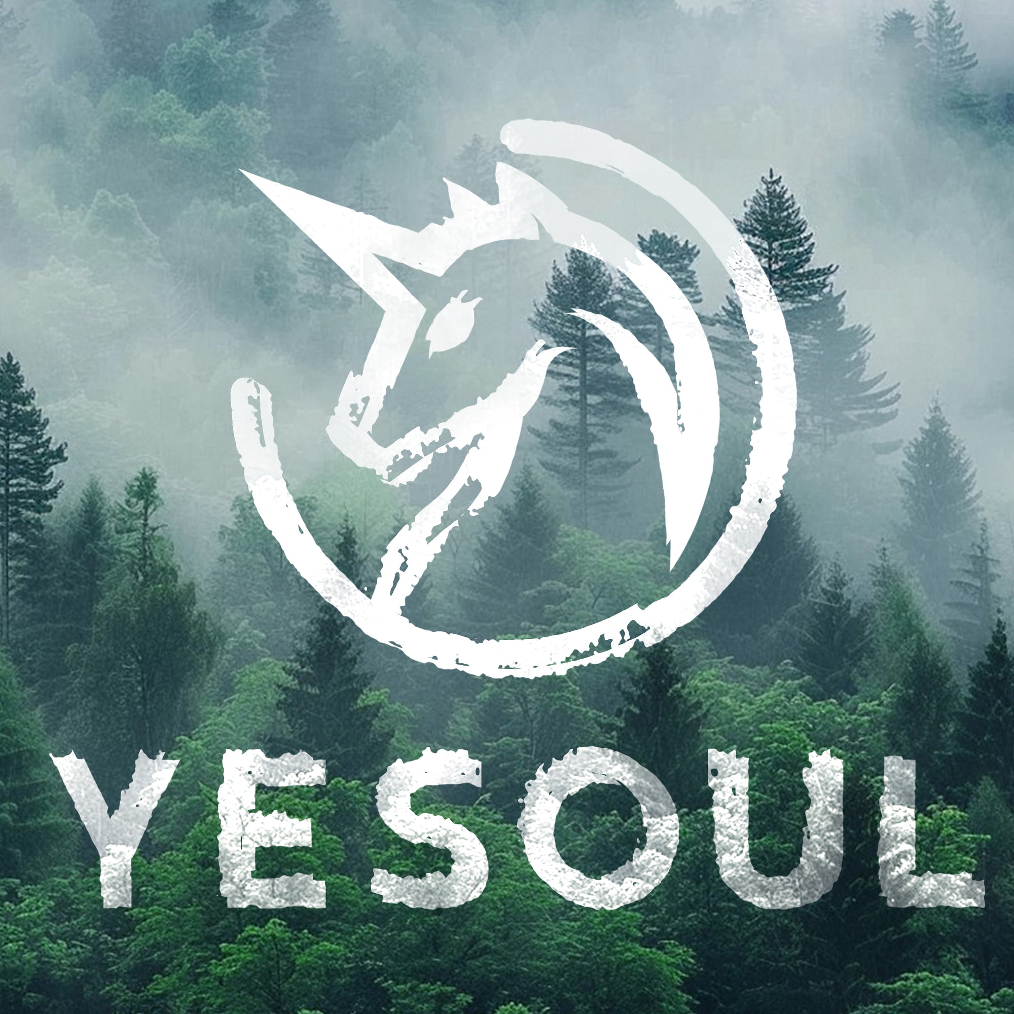 Yesoul Fitness France| L’alternative Peloton la plus intelligente pour